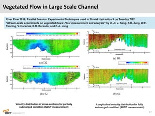 DSD-INT 2017 Vegetated Flow Simulation using Delft3D for a Large-scale ...