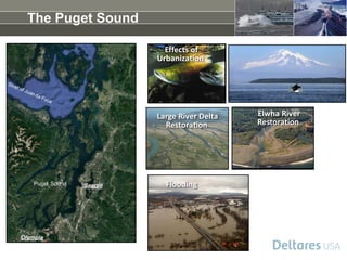 DSD-INT 2018 An Engineering Approach to construction of a Storm Surge ...
