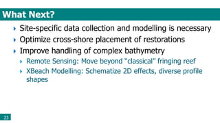DSD-INT 2018 Assessment of runup reduction potential due to coral reef ...