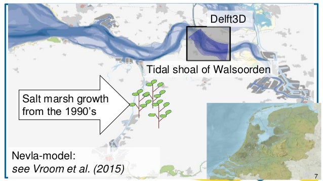 DSD-INT 2018 Modelling vegetation life stages for realistic saltmarsh…
