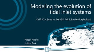 DSD-INT 2018 Morphodynamic evolution of tidal inlet systems using ...