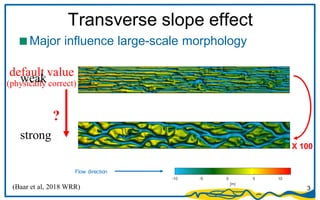 DSD-INT 2018 Critical dependence of morphodynamic models on transverse ...