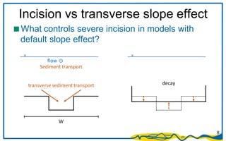 DSD-INT 2018 Critical dependence of morphodynamic models on transverse ...