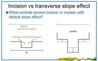 DSD-INT 2018 Critical dependence of morphodynamic models on transverse ...