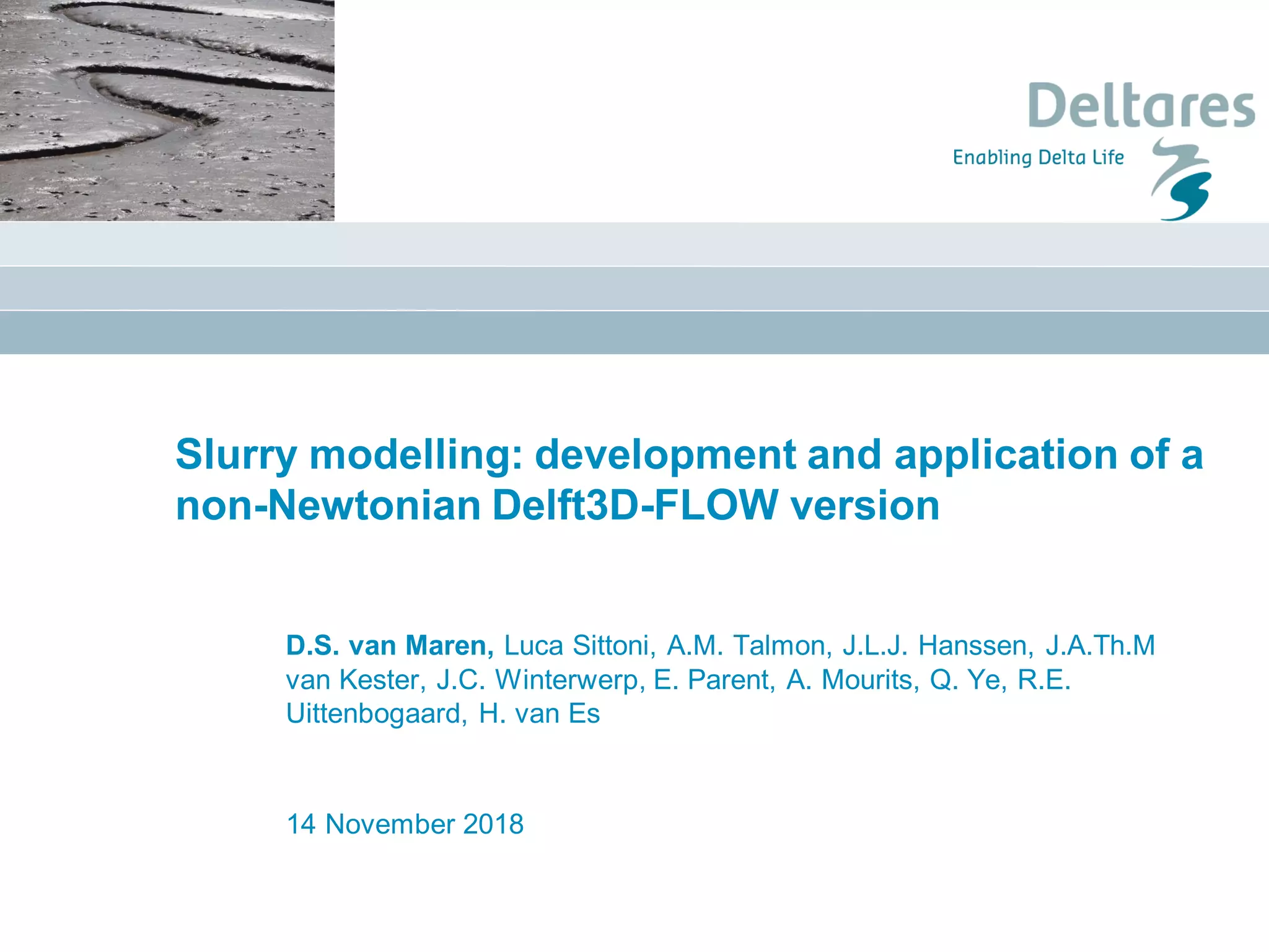 DSD-INT 2018 Slurry modelling: development and application of a non ...