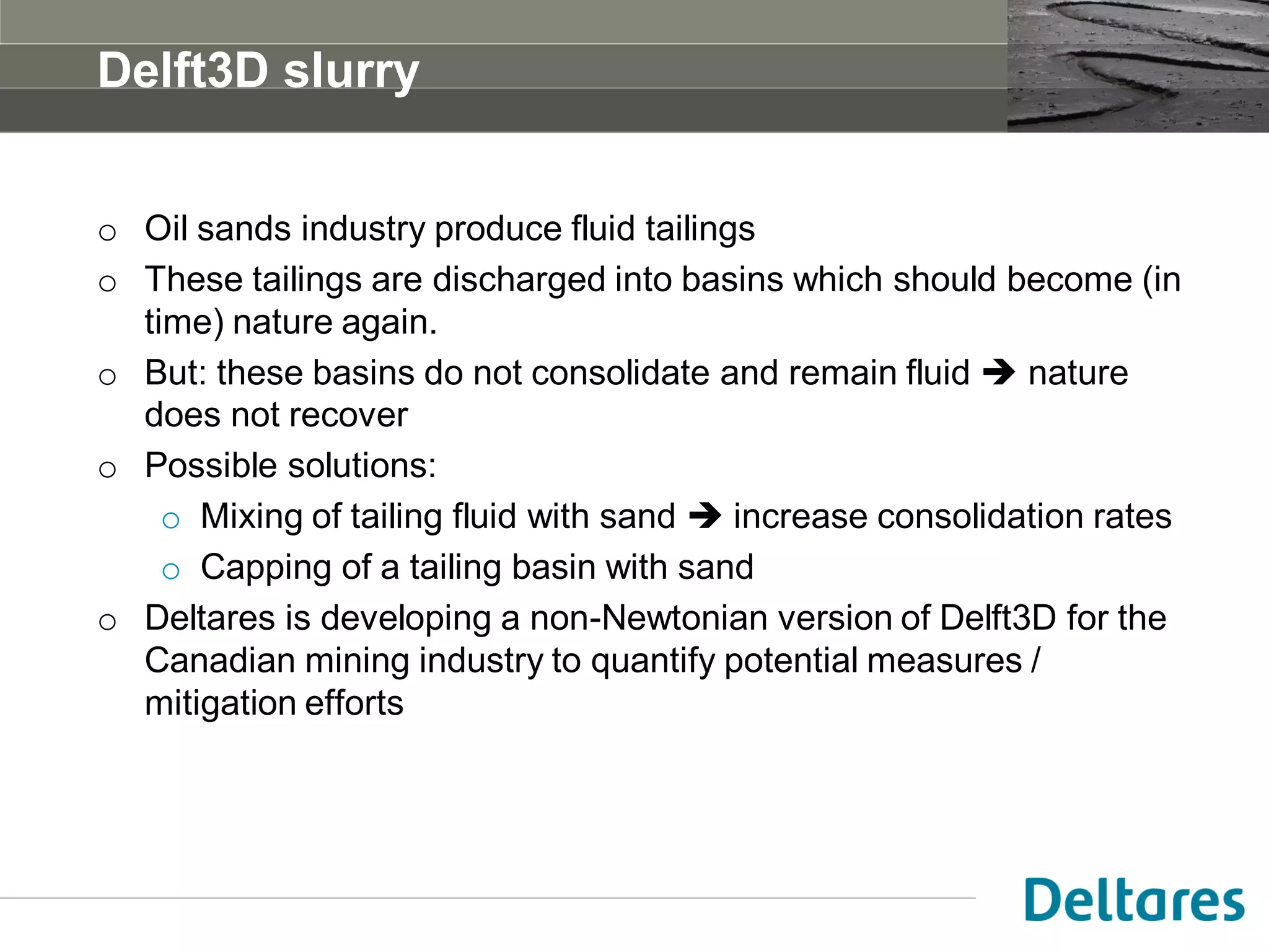 DSD-INT 2018 Slurry modelling: development and application of a non ...