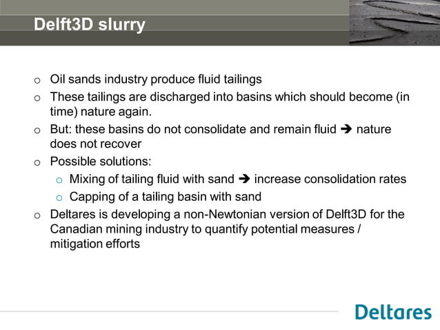 DSD-INT 2018 Slurry modelling: development and application of a non ...