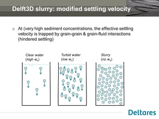 DSD-INT 2018 Slurry modelling: development and application of a non ...
