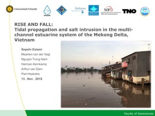 Tidal Propagation and Salt Intrusion Modelling in Vietnam's Mekong ...