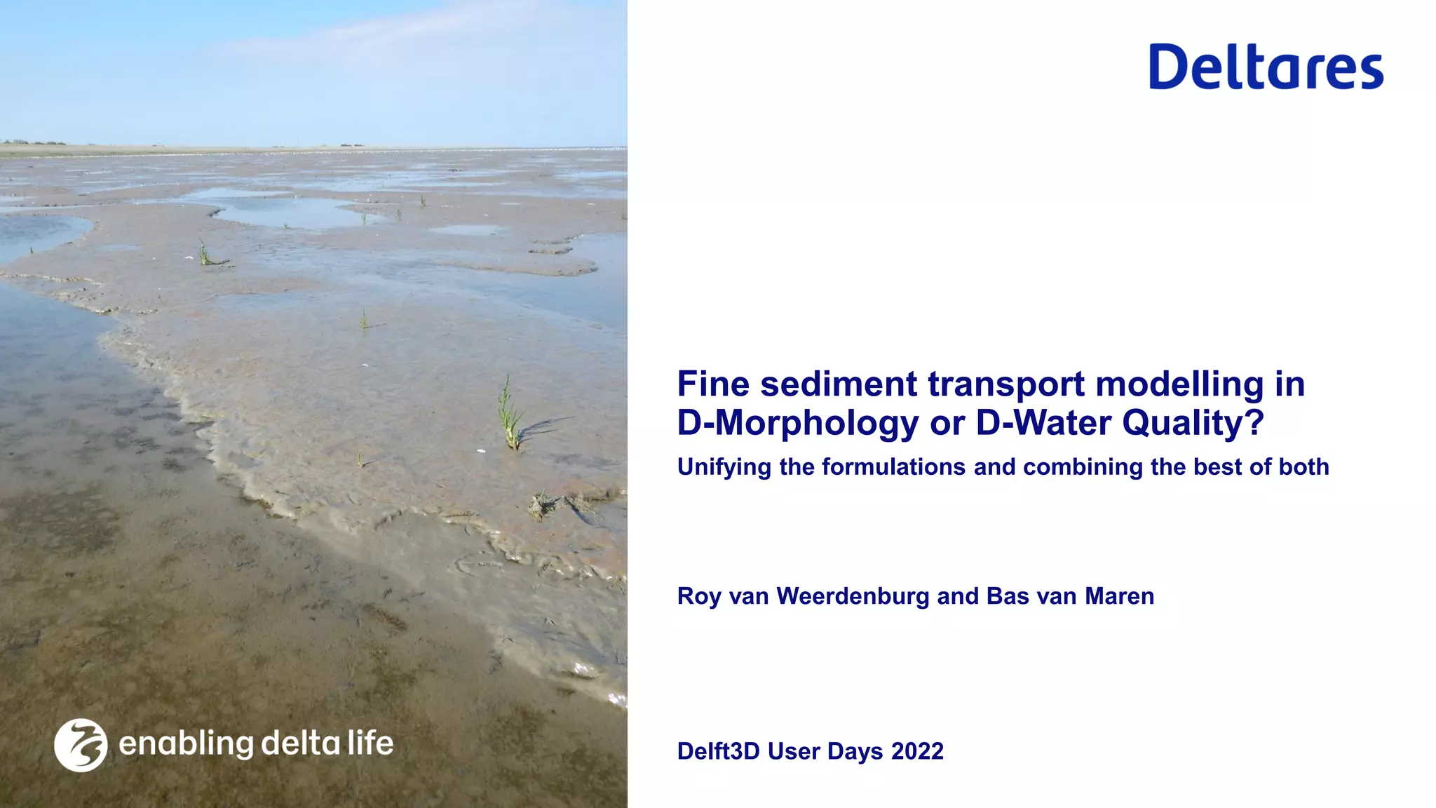 DSD-INT 2022 Fine sediment transport modelling in D-Morphology or D ...