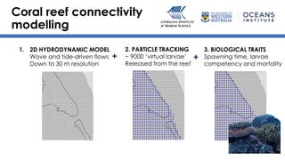 DSD-INT 2022 Hydrodynamics, connectivity and thermodynamics of a coral reef atoll - Grimaldi | PPT