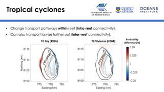 DSD-INT 2022 Hydrodynamics, connectivity and thermodynamics of a coral ...