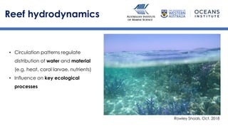 DSD-INT 2022 Hydrodynamics, connectivity and thermodynamics of a coral ...