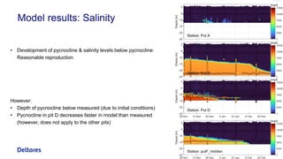 DSD-INT 2022 Modelling Circulation, Stratification and Salt Dispersion ...