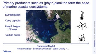 DSD-INT 2022 PROTIST - a new primary production module for D-Water ...