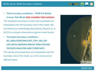 DSD-INT 2022 Salt intrusion modelling in Aveiro Lagoon under ...
