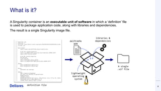 DSD-INT 2022 Singularity containers - simplifying the use of Delft3D FM on High Performance ...