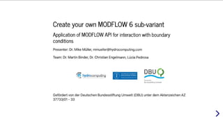 DSD-INT 2023 Create your own MODFLOW 6 sub-variant - Muller | PDF