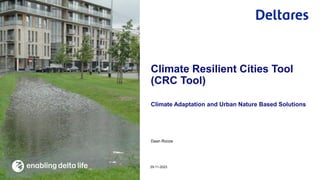 DSD-INT 2023 Demo Climate Resilient Cities Tool (CRC Tool) - Rooze | PPT