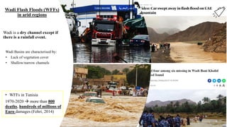 DSD-INT 2023 Exploring flash flood hazard reduction in arid regions using a hydrodynamic model ...