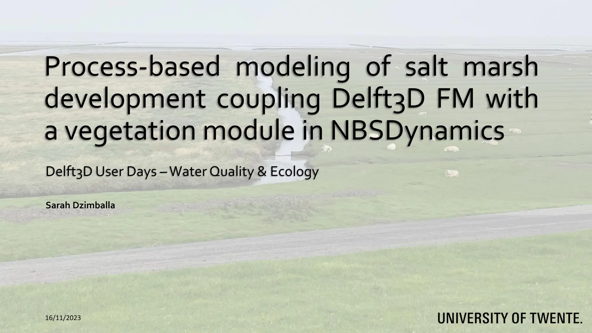 DSD-INT 2023 Process-based modelling of salt marsh development coupling ...