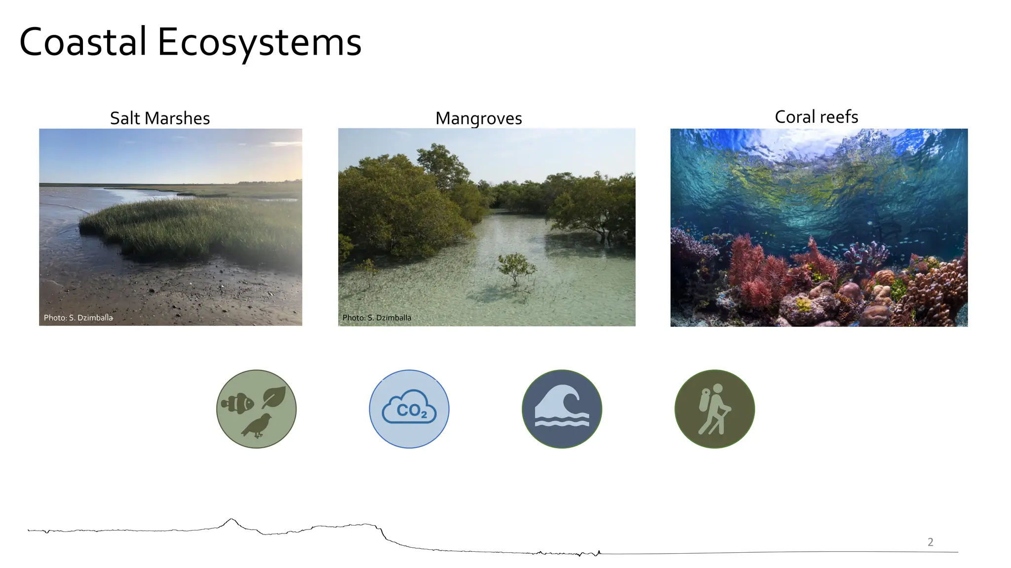 DSD-INT 2023 Process-based modelling of salt marsh development coupling ...