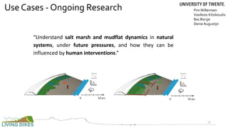 DSD-INT 2023 Process-based modelling of salt marsh development coupling ...