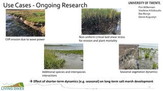 DSD-INT 2023 Process-based modelling of salt marsh development coupling ...