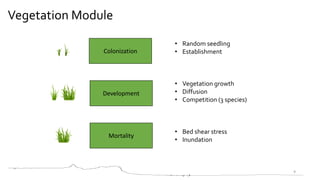 DSD-INT 2023 Process-based modelling of salt marsh development coupling ...