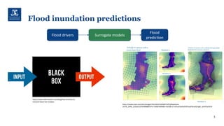 DSD-INT 2023 Speeding up hydrodynamic models for real-time flood inundation predictions - Fraehr ...