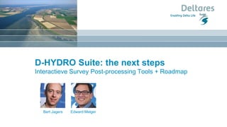 DSD-NL 2018 D-HYDRO Suite - the next steps | PPT