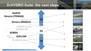 DSD-NL 2018 D-HYDRO Suite - the next steps | PPT