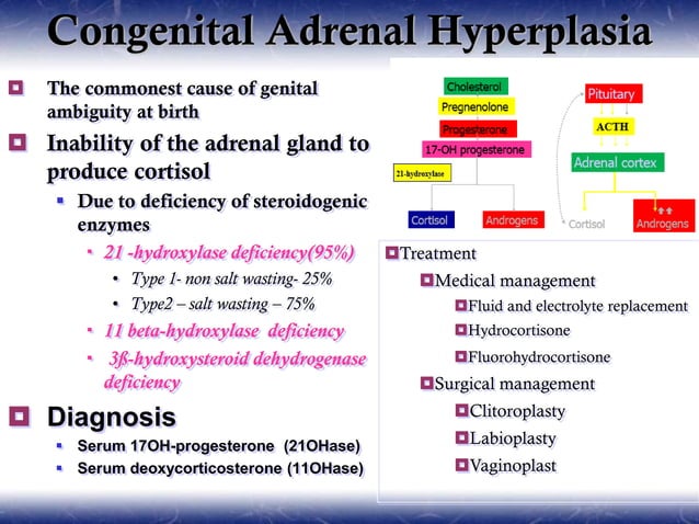 Management Disorder of Sexual Development(DSD) | PPT