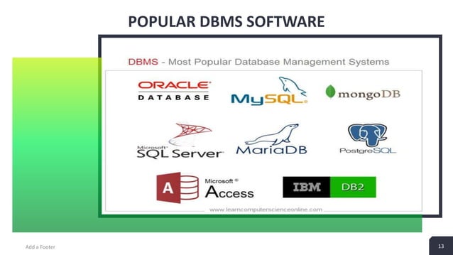 Introduction of Database Management Systems.pptx