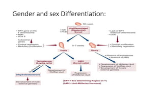 DSD ( disorders of sexual development).pptx