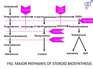 Disorder of Sesual Differentiation (DSD) | PPTX