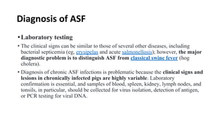 dsDNA-ASF, asfaviridae, virus in virology presentation | PDF