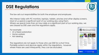 Display Screen Equipment | PDF