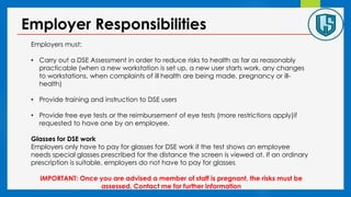 Display Screen Equipment | PDF