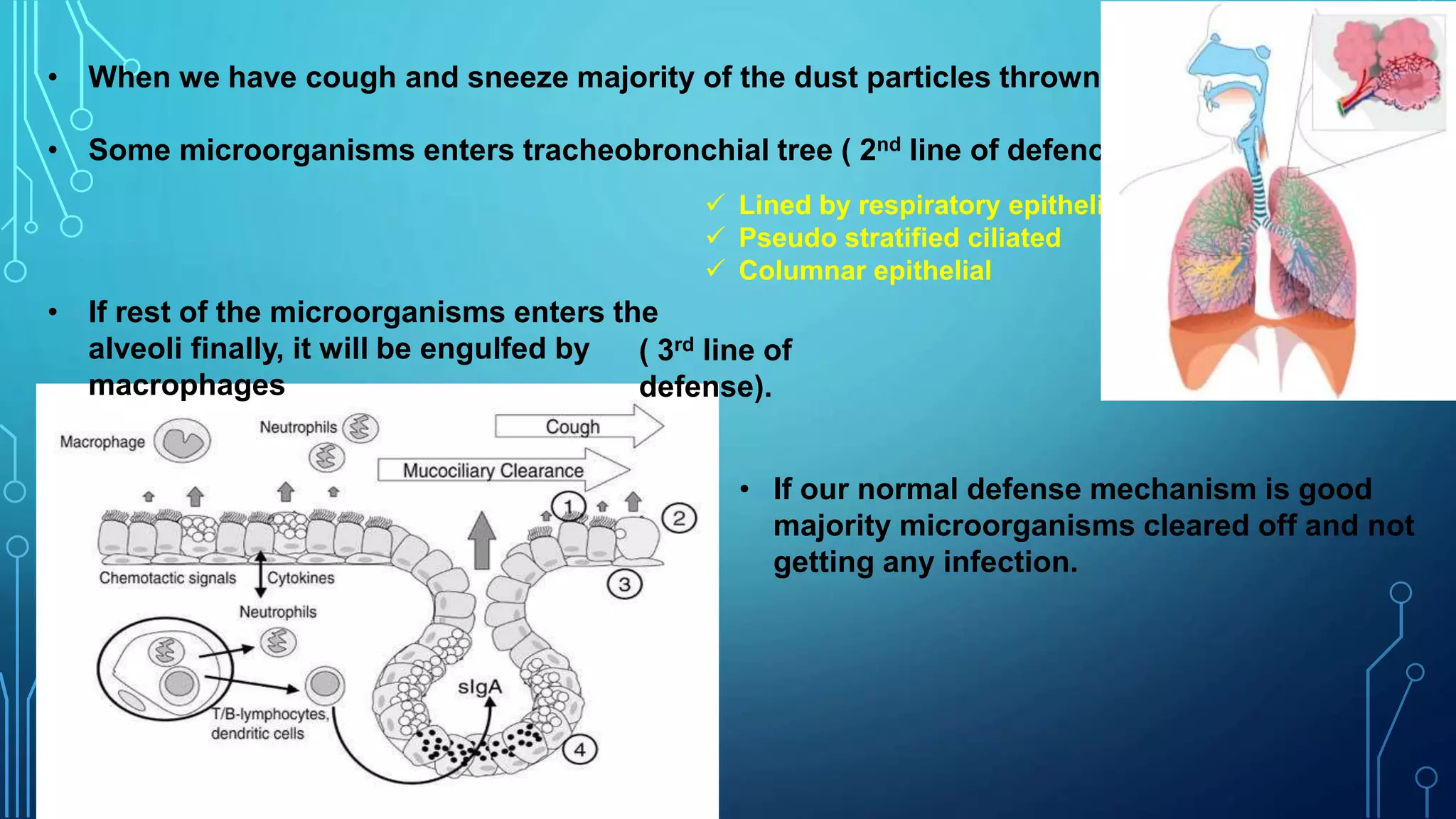 The microbiota of the respiratory tract | PPTX