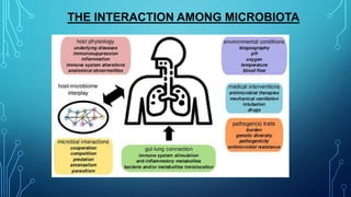 The microbiota of the respiratory tract | PPTX