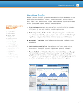 eMeter EnergyIP Data Sheet | PDF