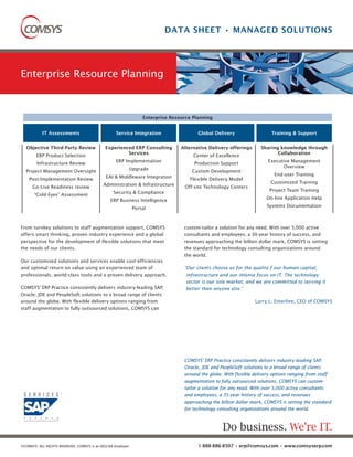 Ds Erp Practice Overview 0403081 | PDF