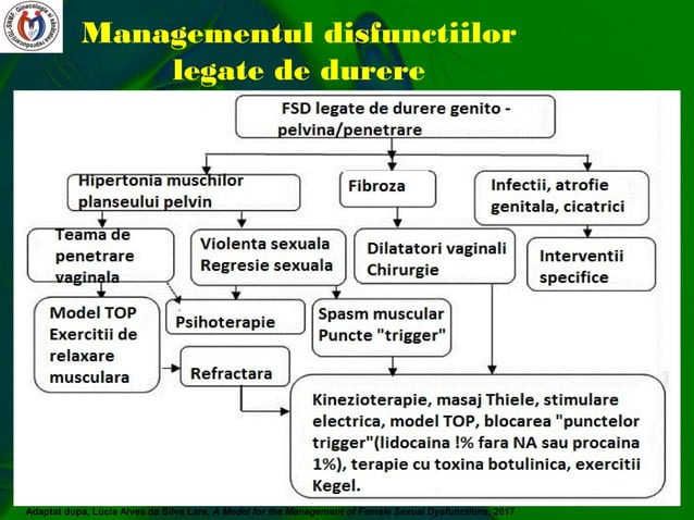 Dsf lucrare elena_popa | PPT