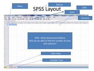 DSG webinar - Introduction-to-spss basics | PDF