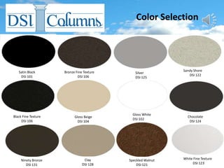 Dsi Column Powerpoint w-audio | PPT