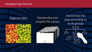 EEG and Telemetry: Best Practices for Managing Large Data Sets to Investigate Key Aspects of ...