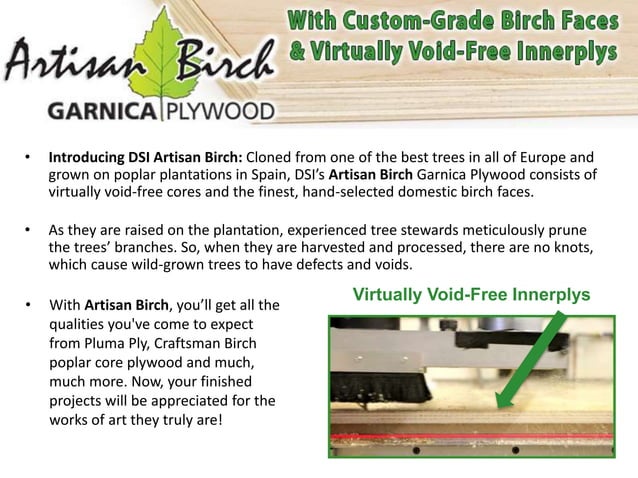 DSI Garnica Plywood | PPT