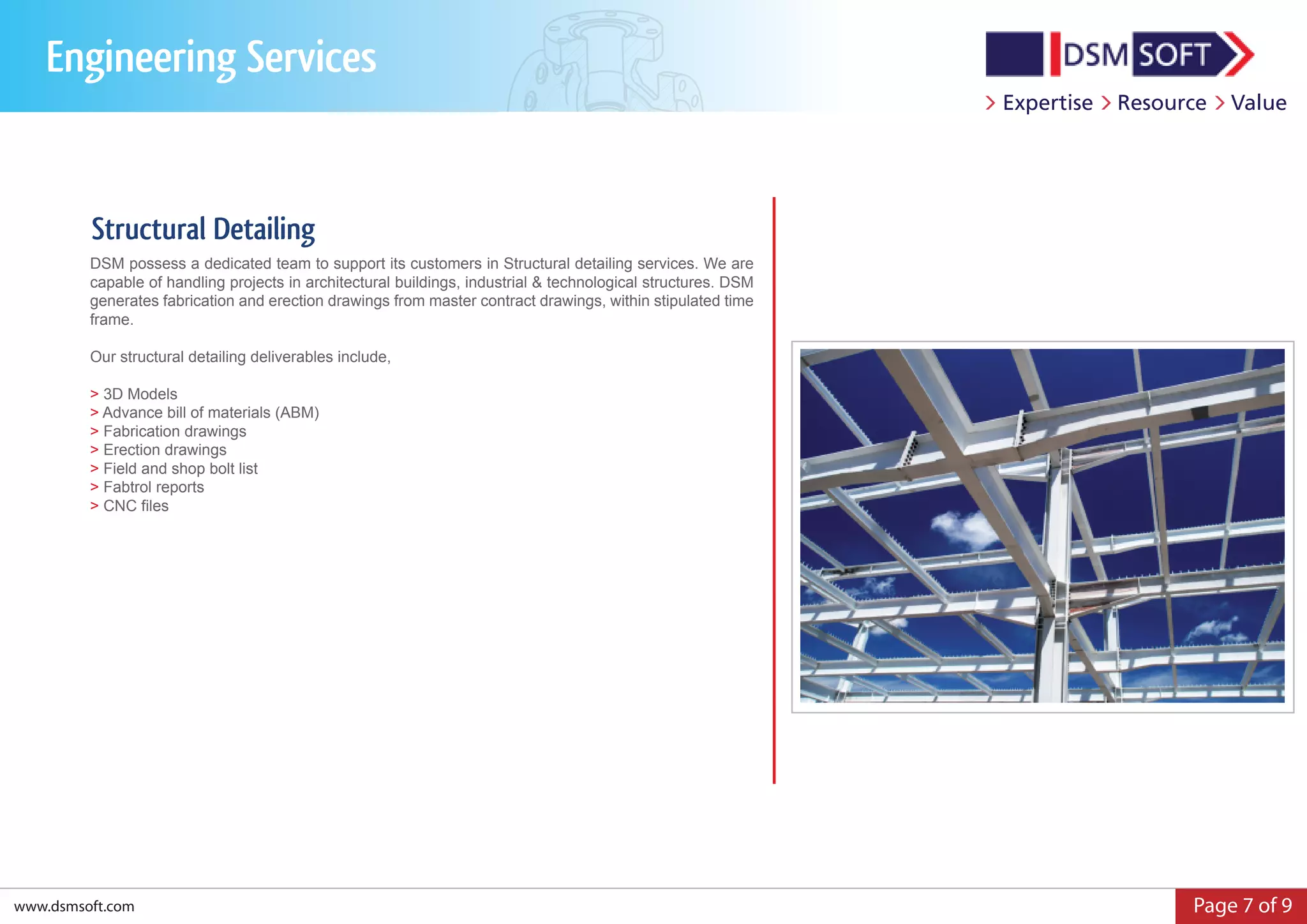 Dsm soft engineeringbrochure | PDF