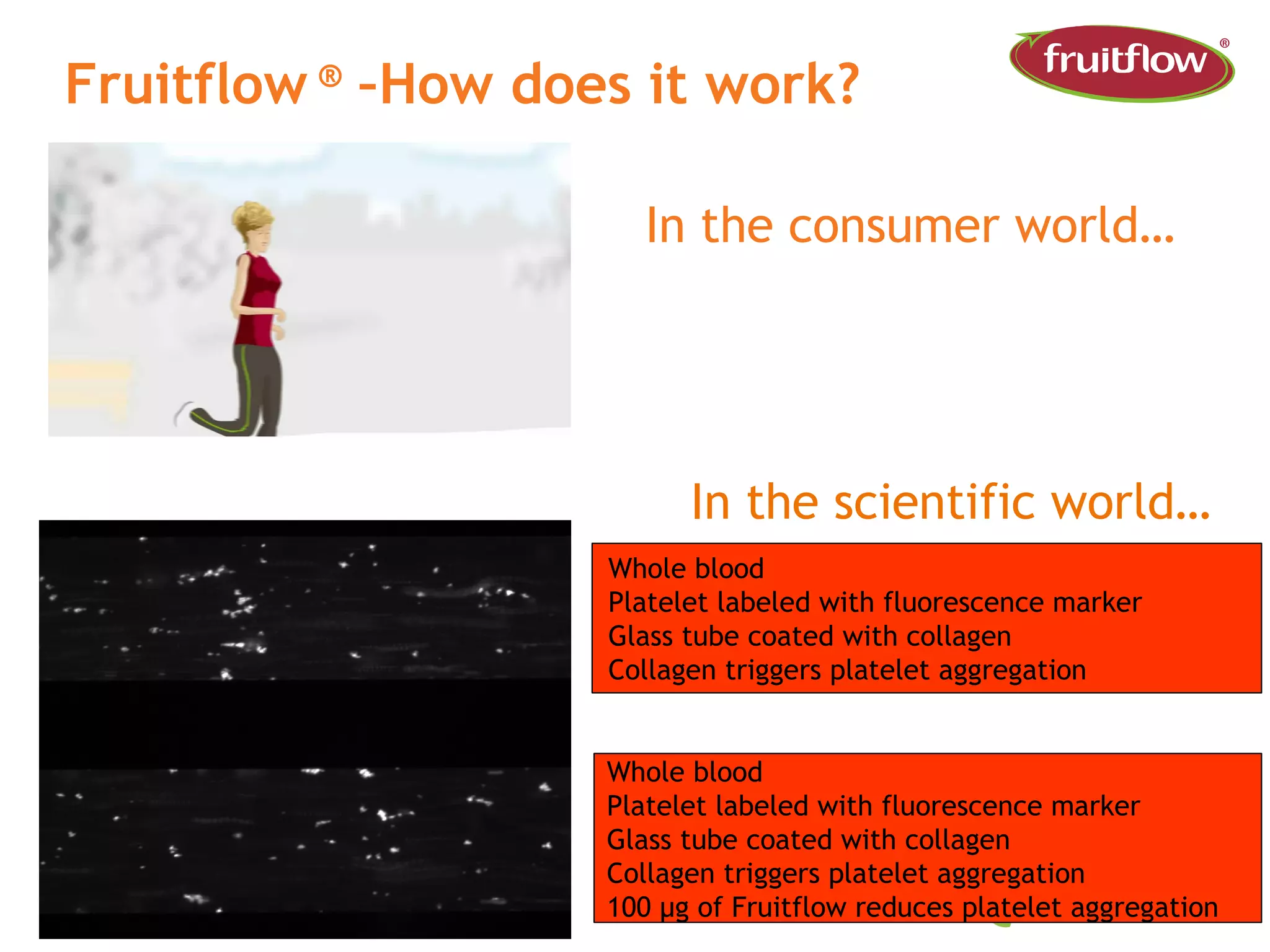 DSM The Fruitflow case | PPT